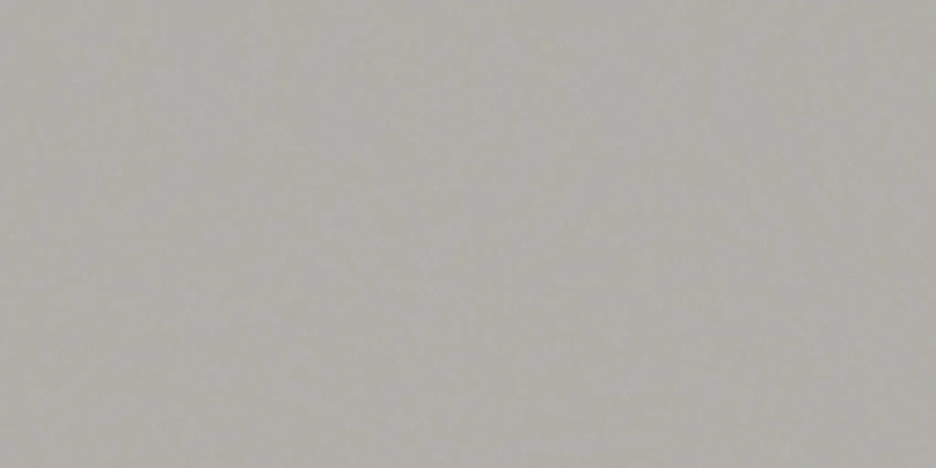City Grey 30x60 | Newker